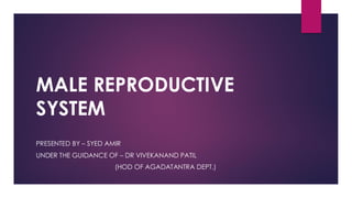 Male reproductive system and its disorders.pdf