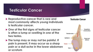 Male reproductive system and its disorders.pdf