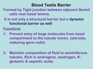 Male reproductive system and its regulation | PPT