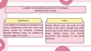 Male Reproductive System Biology Presentation in a Bold Pink Style.pptx
