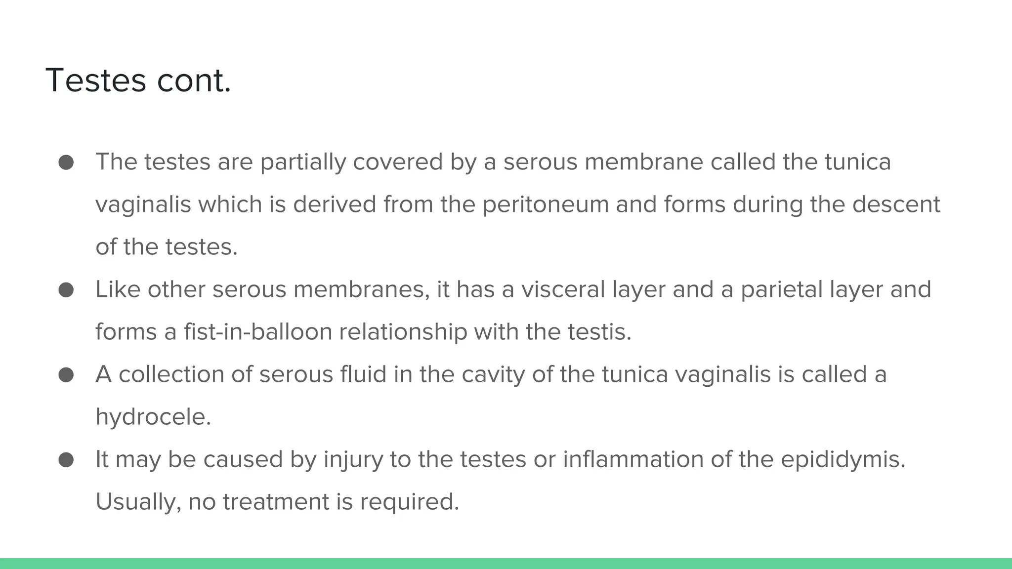 Male Reproductive System ......... .pptx
