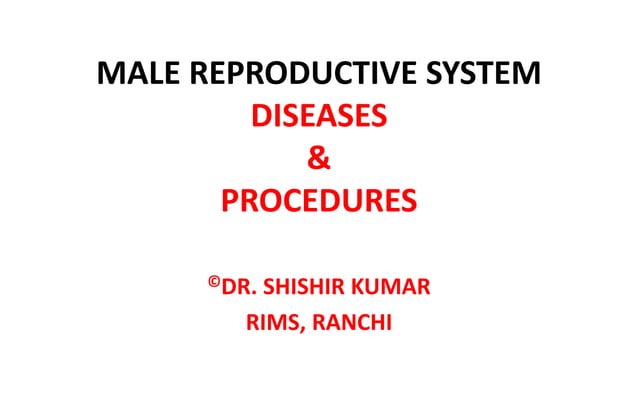 Male reproductive system diseases and procedures | PPTX | Sexual ...