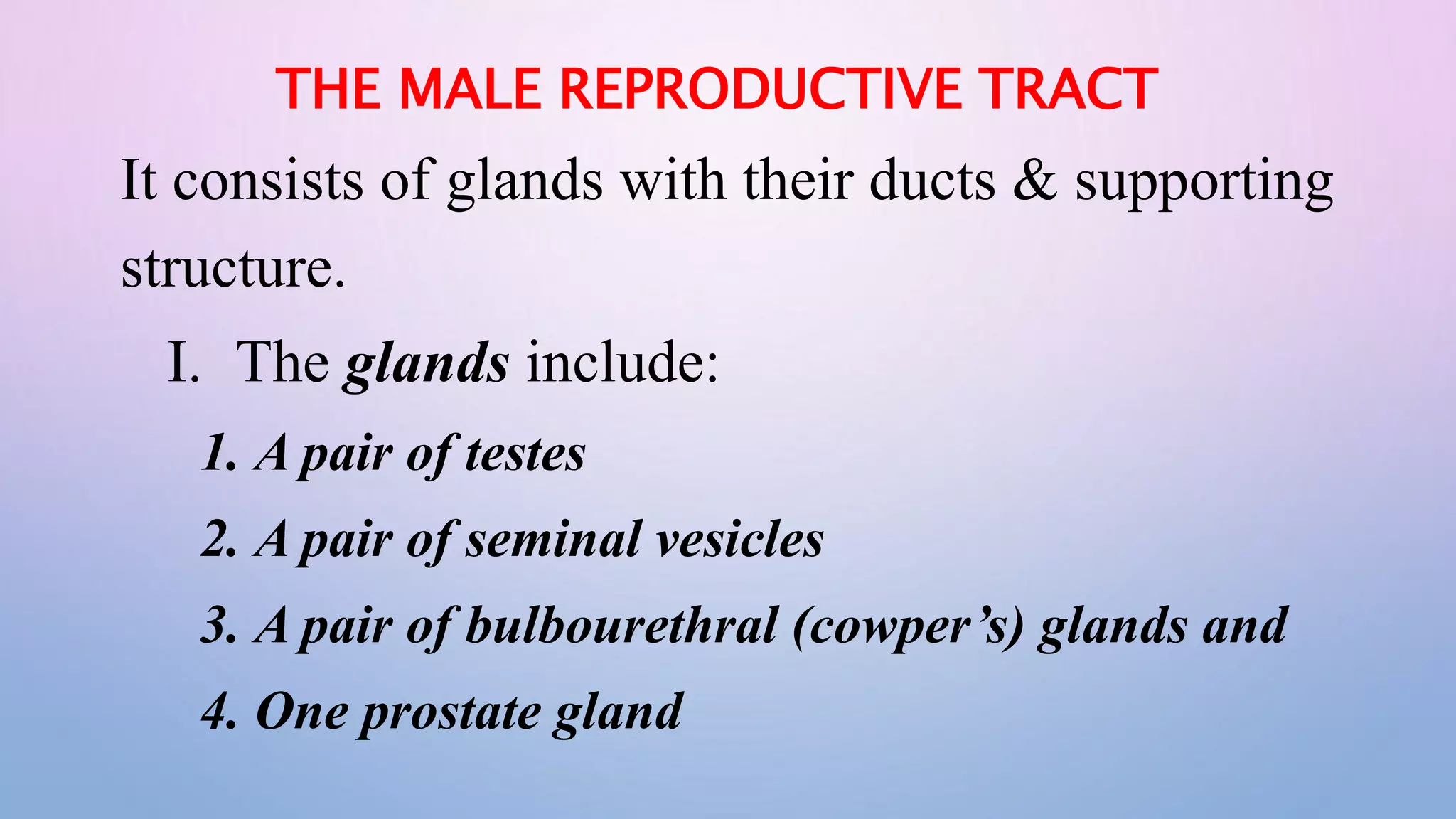 Male reproductive system by Pandian M, tutor, Dept of Physiology ...