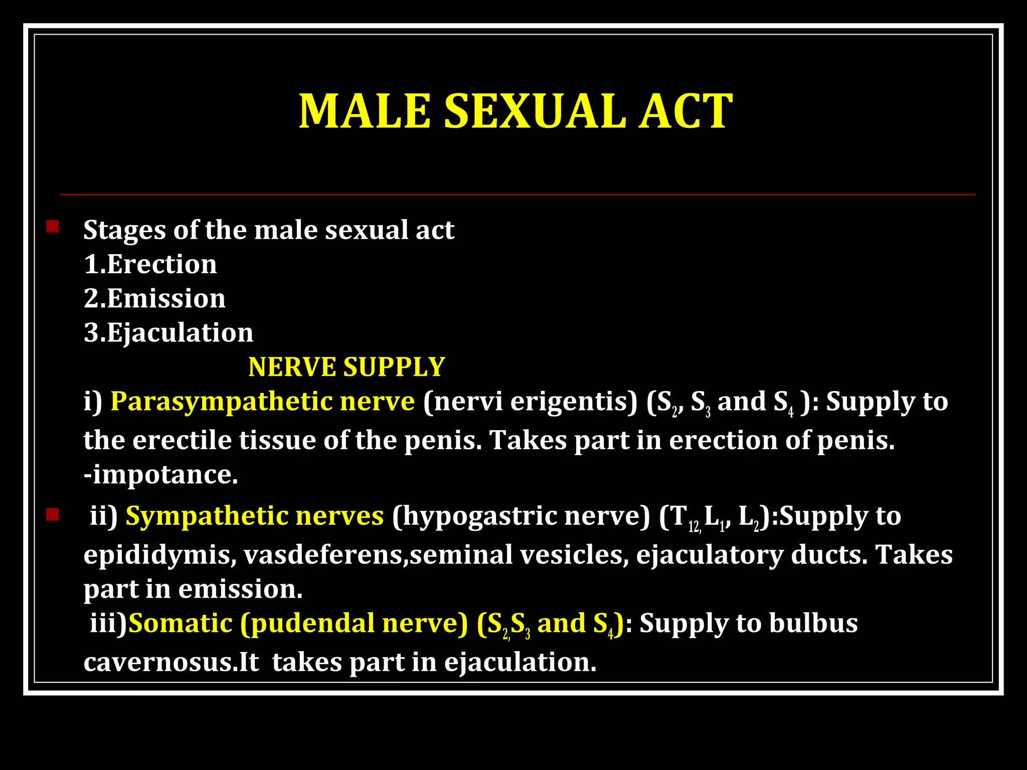 MALE REPRODUCTIVE SYSTEM I | PPT
