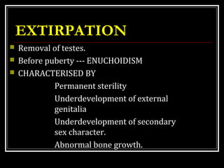 MALE REPRODUCTIVE SYSTEM II | PPT