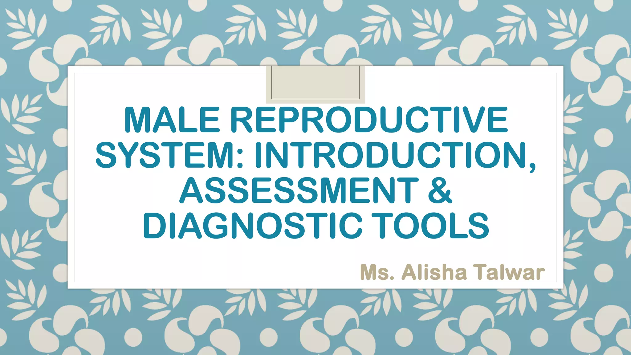 Male reproductive system introduction & assessment | PDF