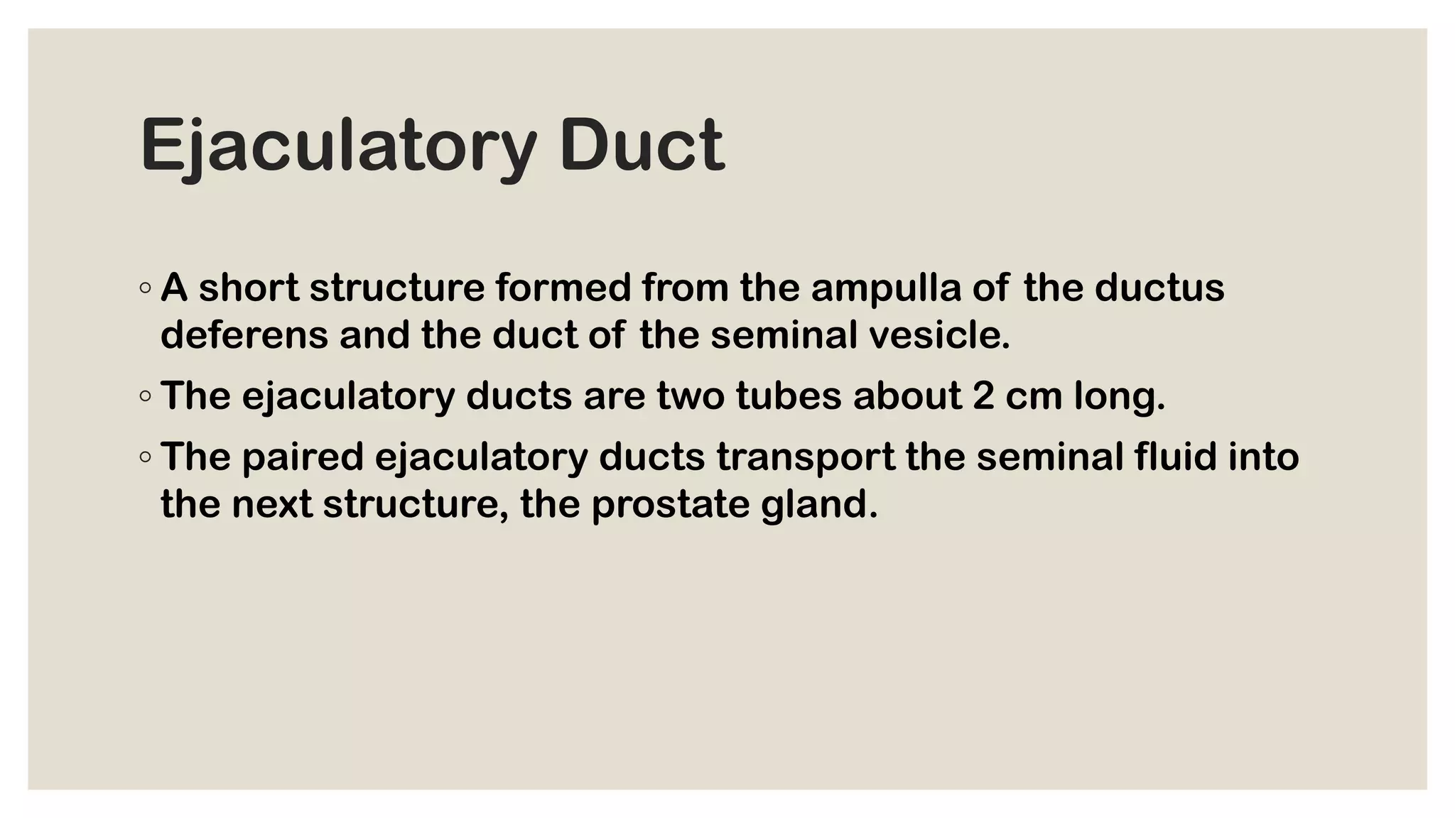 Male reproductive system introduction & assessment | PDF