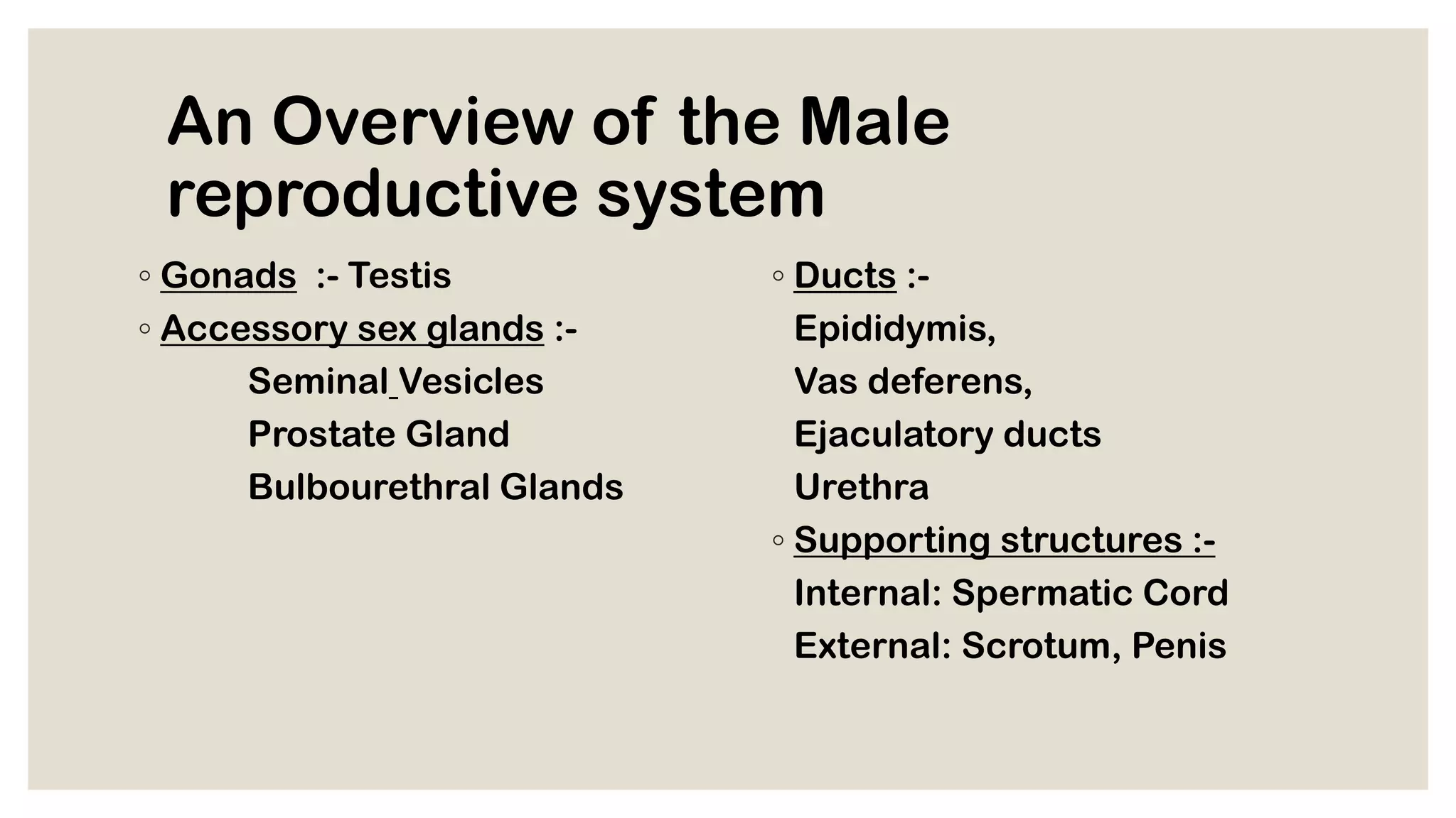 Male reproductive system introduction & assessment | PDF