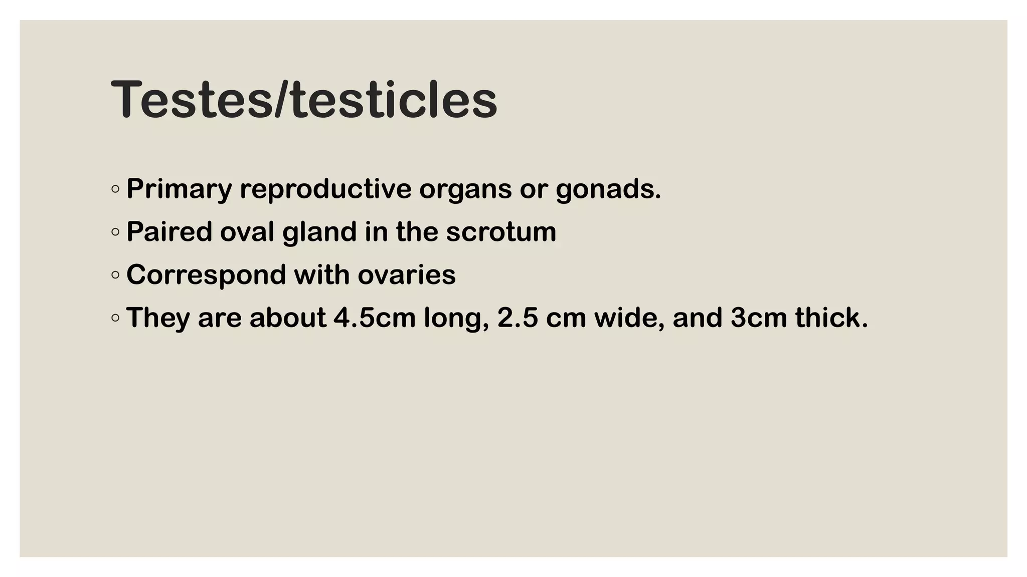 Male reproductive system introduction & assessment | PDF