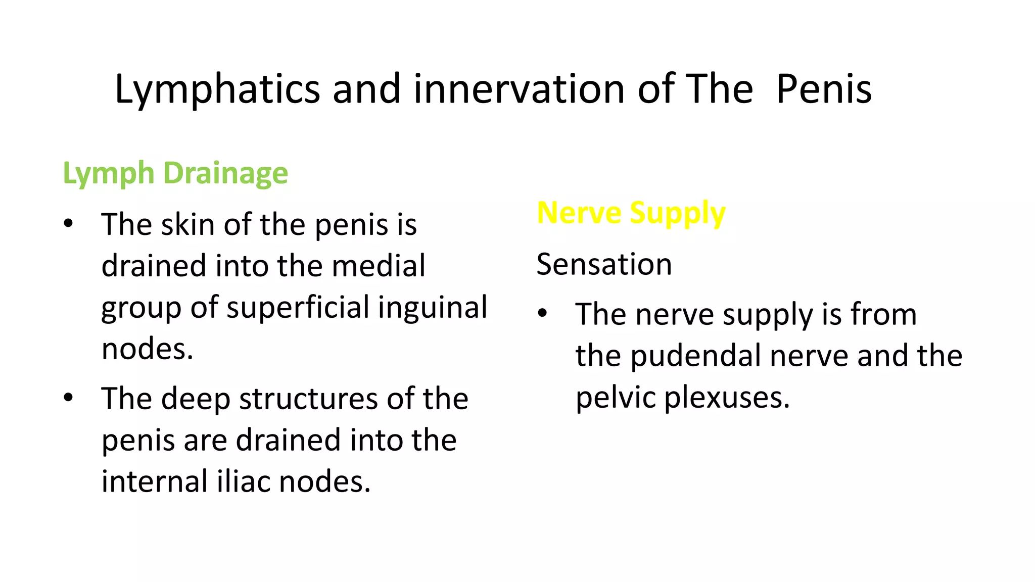 malereproductivesystemnew-190314170104.pdf