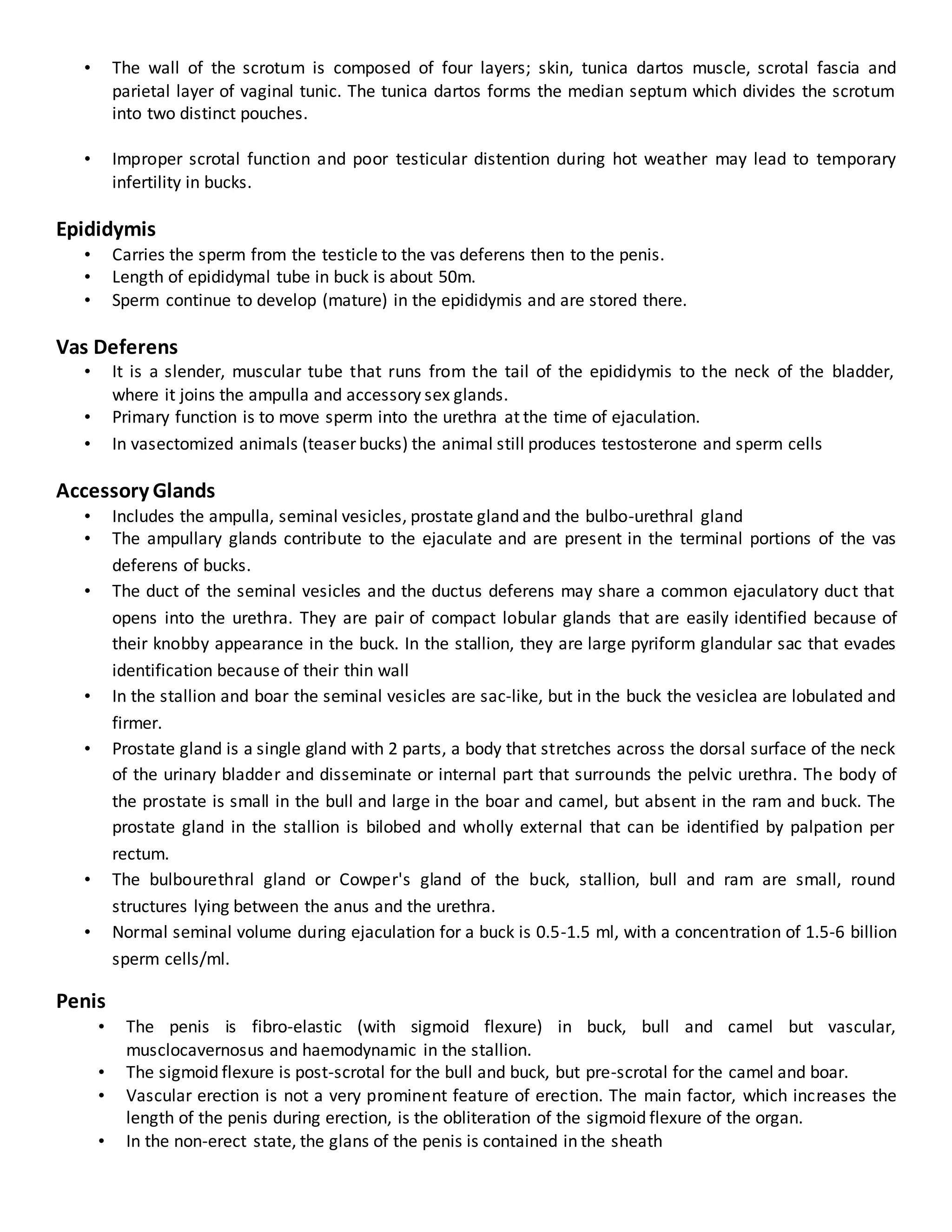 Reproductive system of a buck | DOCX