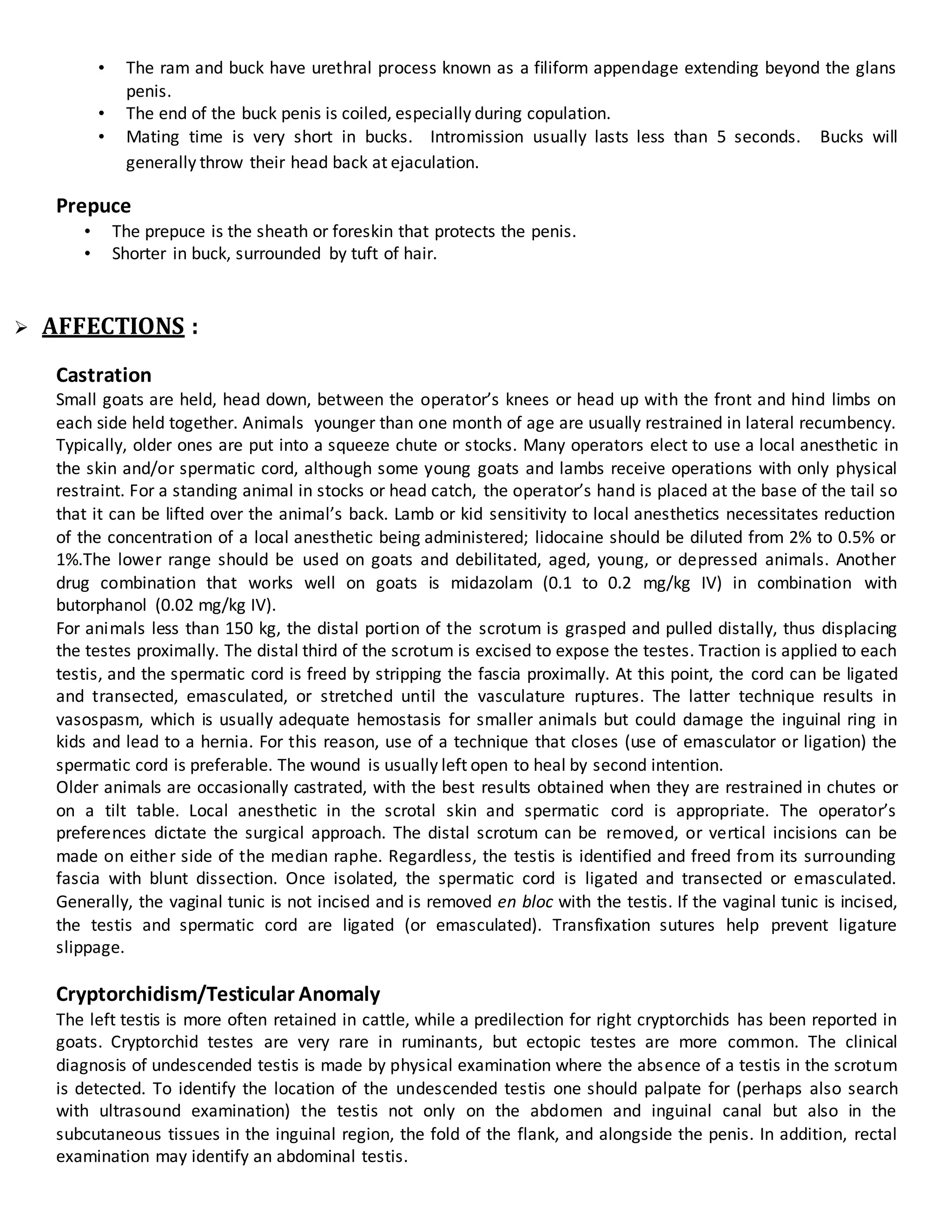 Reproductive system of a buck | DOCX
