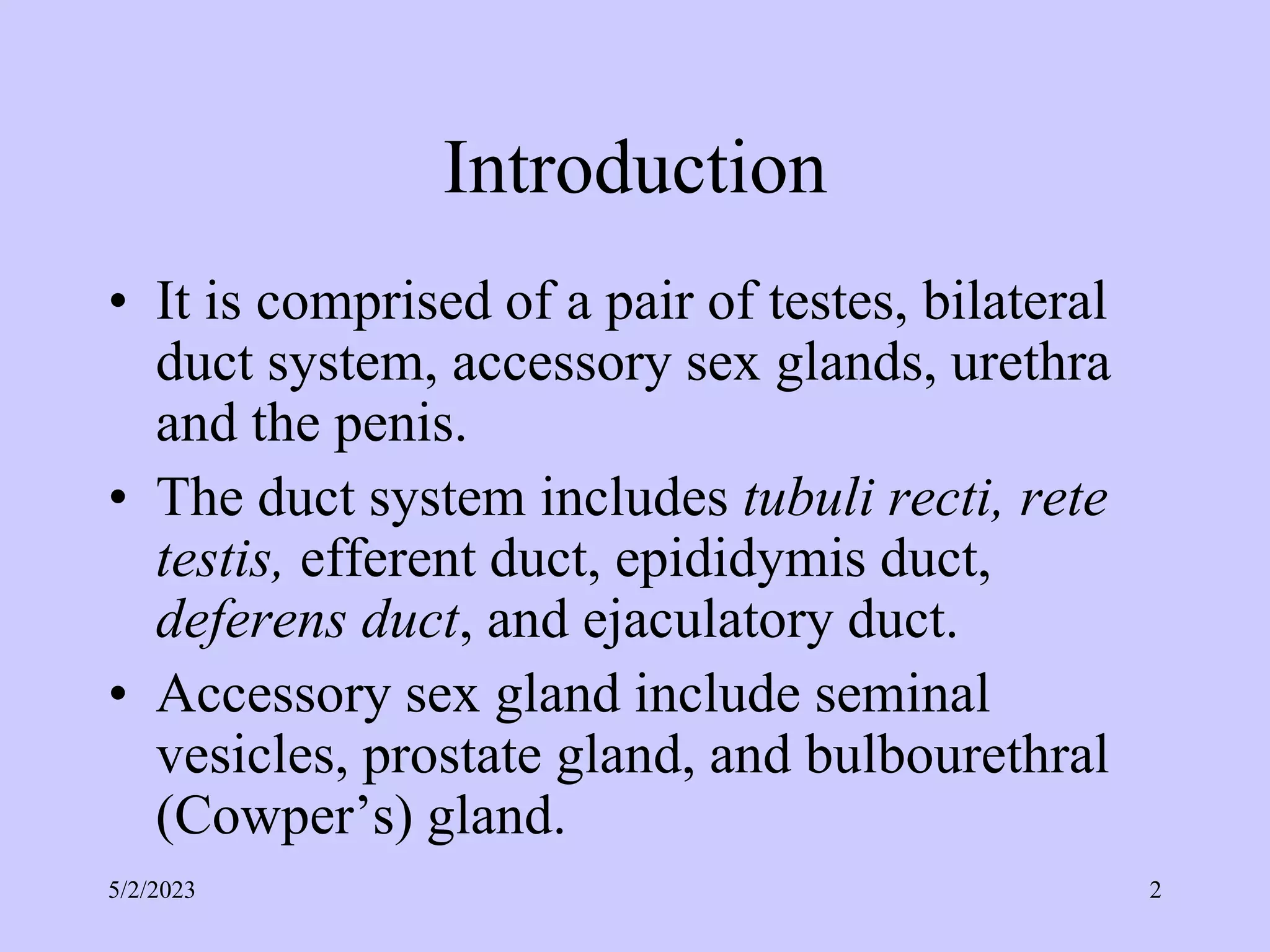 MALE REPRODUCTIVE SYSTEM PRESENTATION.ppt