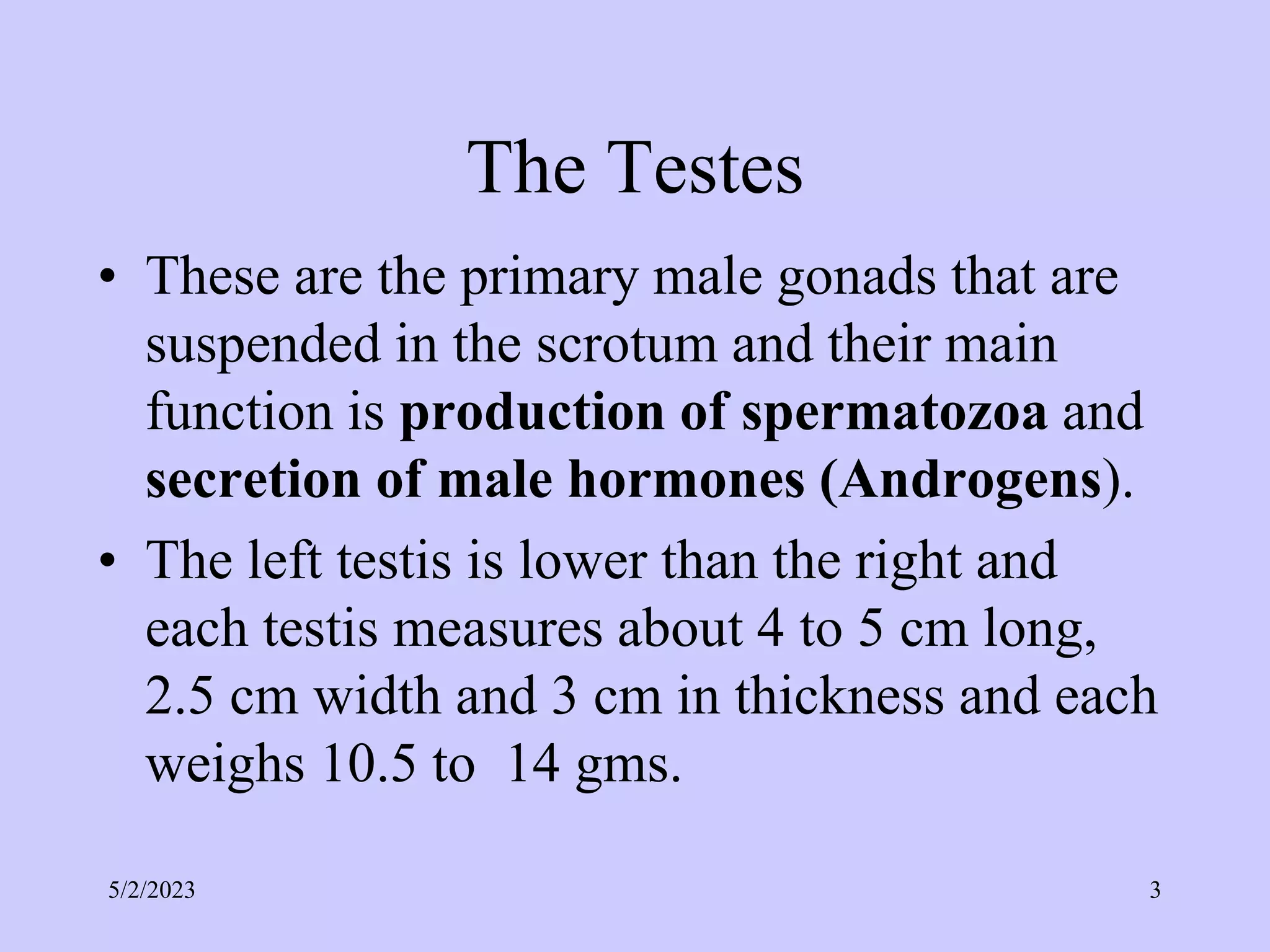 MALE REPRODUCTIVE SYSTEM PRESENTATION.ppt