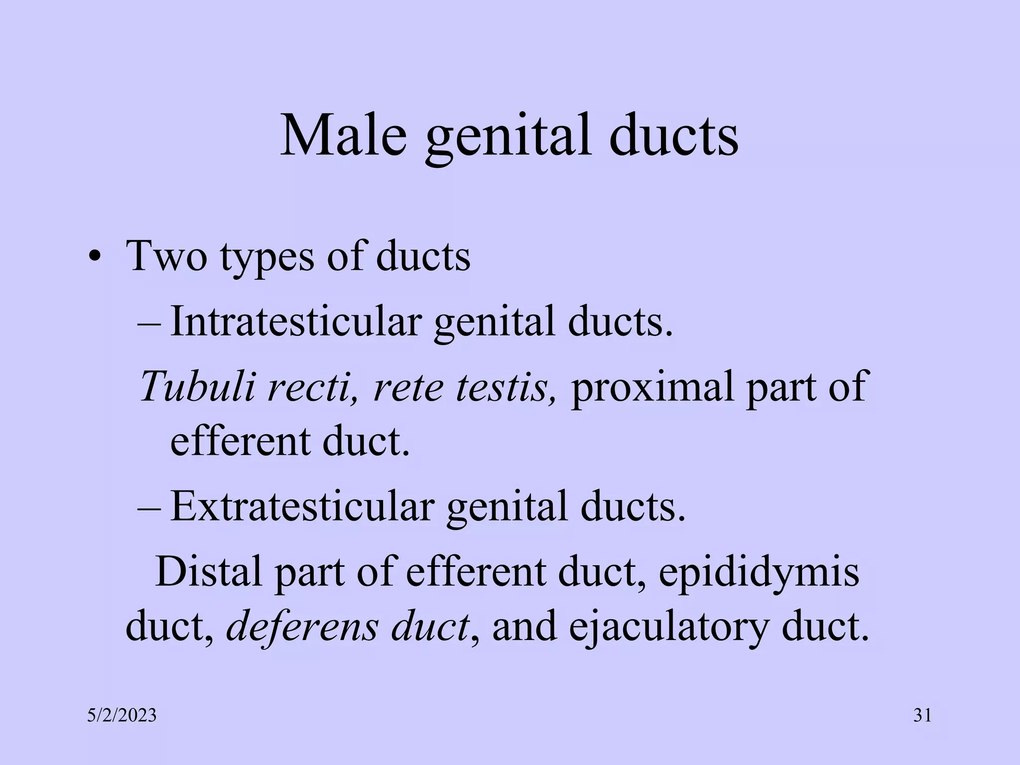 MALE REPRODUCTIVE SYSTEM PRESENTATION.ppt