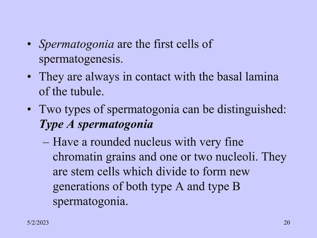 MALE REPRODUCTIVE SYSTEM PRESENTATION.ppt
