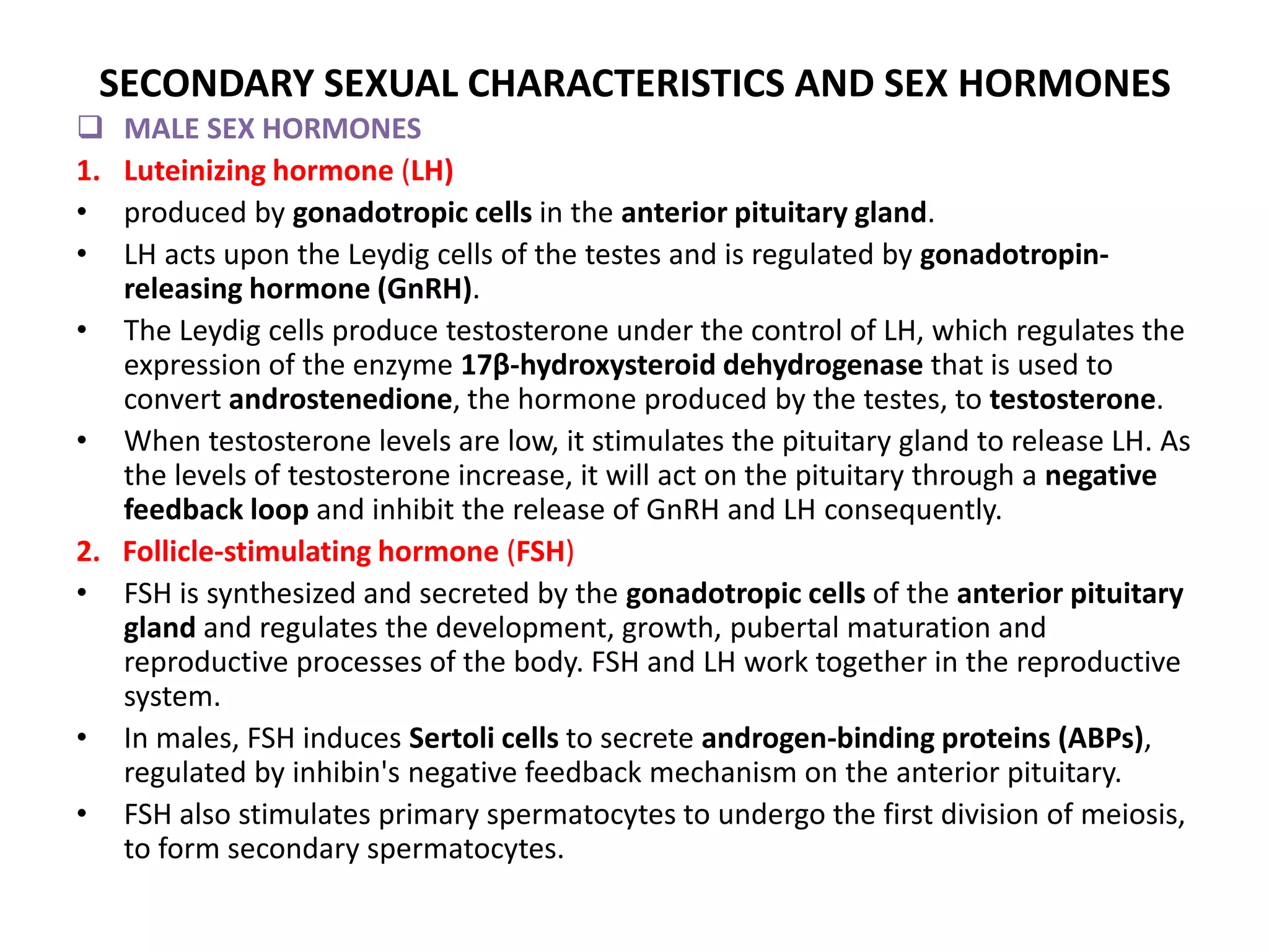Male Reproductive System - Anatomy, Physiology and Pathology | PPTX