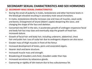 Male Reproductive System - Anatomy, Physiology and Pathology | PPTX