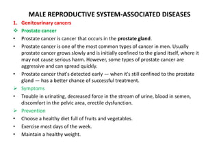 Male Reproductive System - Anatomy, Physiology and Pathology | PPTX