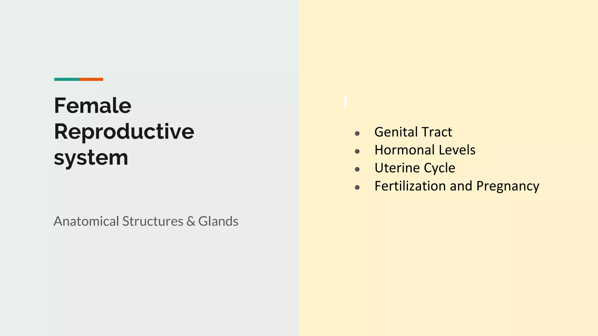 Human Reproductive Systems anatomy | PPTX