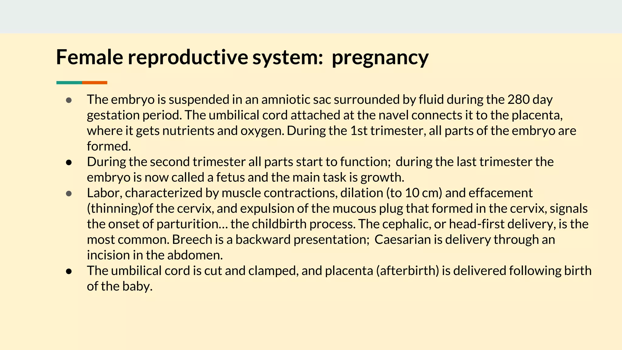 Human Reproductive Systems anatomy | PPTX