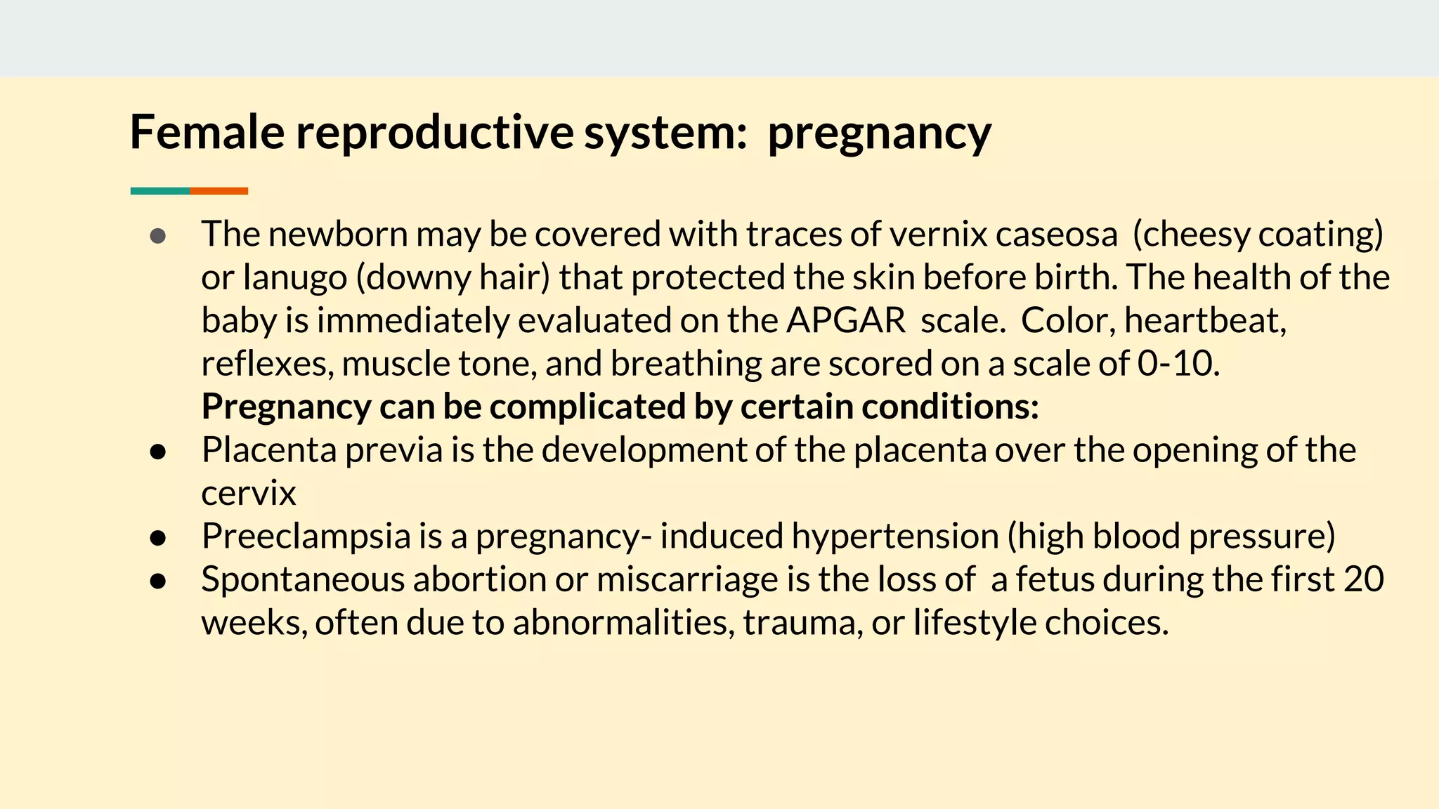Human Reproductive Systems anatomy | PPTX