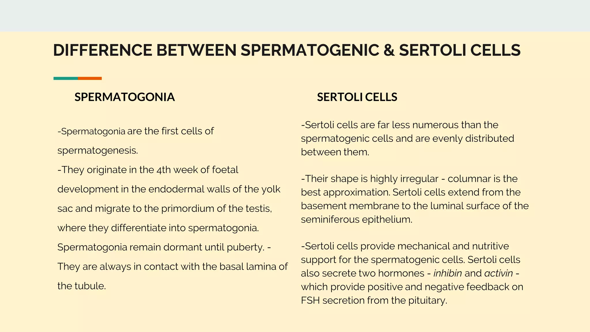 Human Reproductive Systems anatomy | PPTX