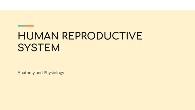 Human Reproductive Systems anatomy | PPTX | Infertility | Reproductive ...