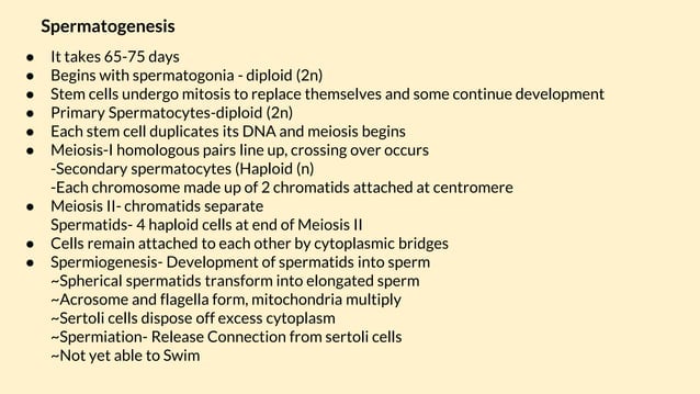 Human Reproductive Systems anatomy | PPTX | Infertility | Reproductive ...