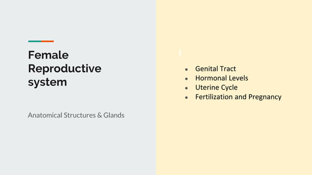 Human Reproductive Systems anatomy | PPTX | Infertility | Reproductive ...