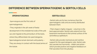 Human Reproductive Systems anatomy | PPTX
