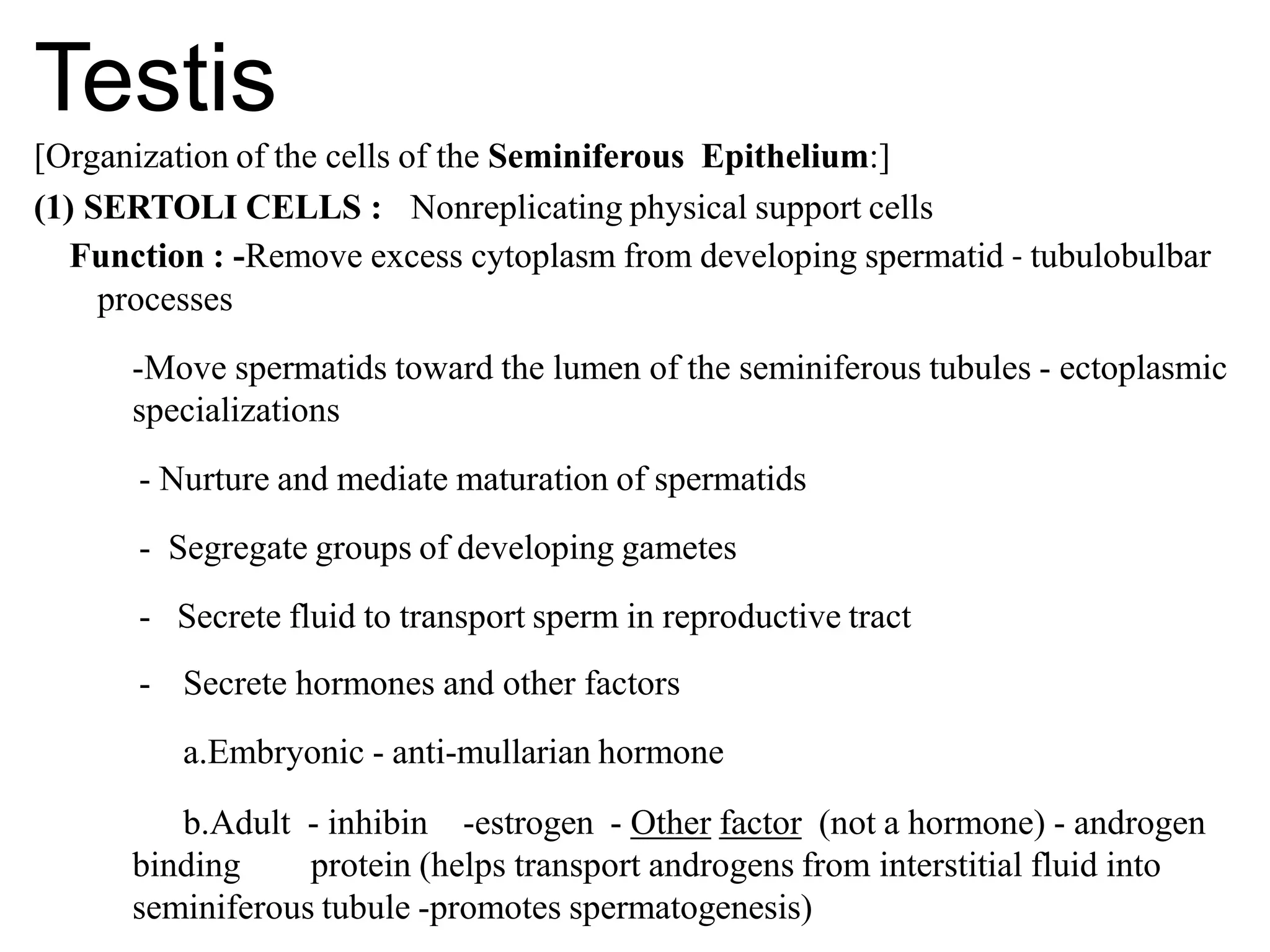 male reproductive system, spermatogensis, sperm.pptx