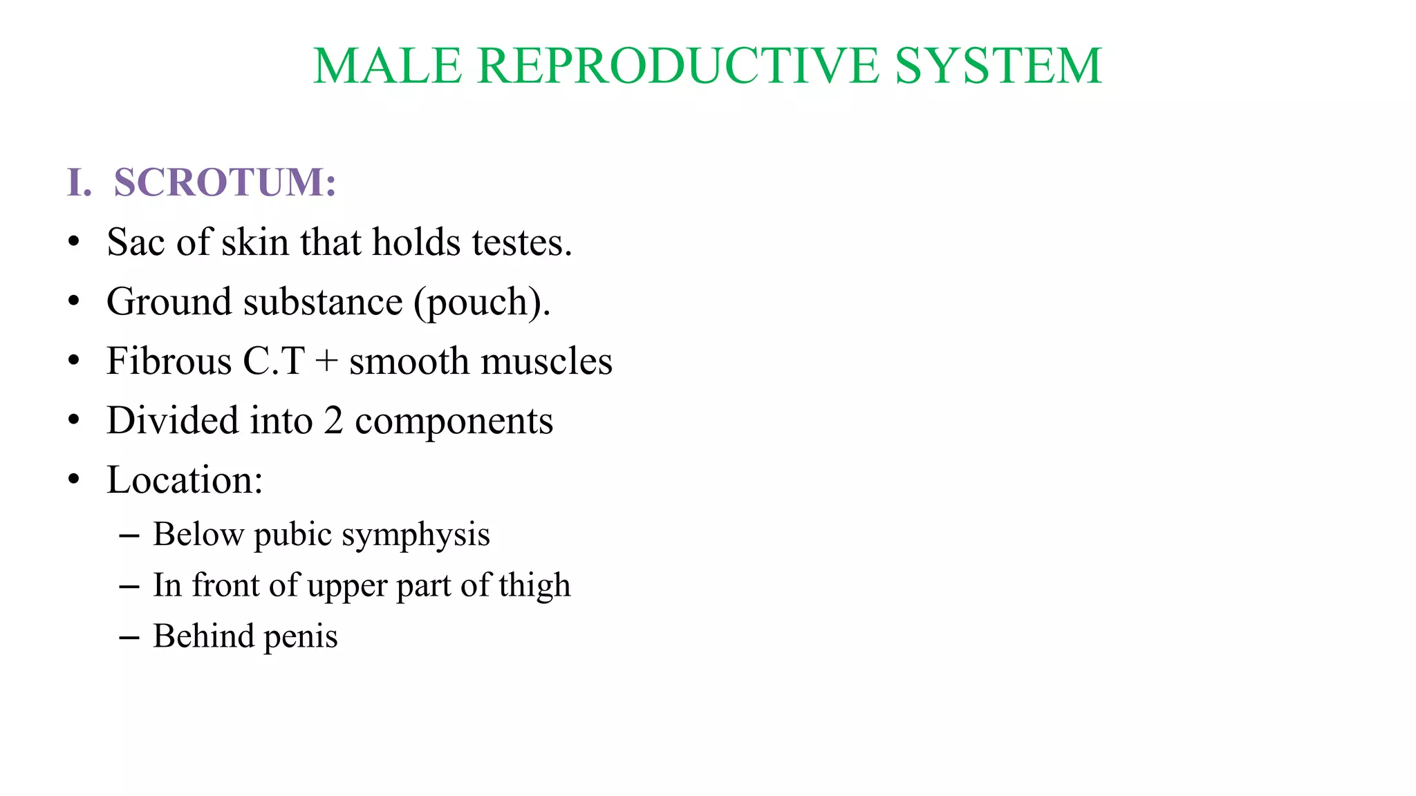Male Reproductive system (without Audio).pptx