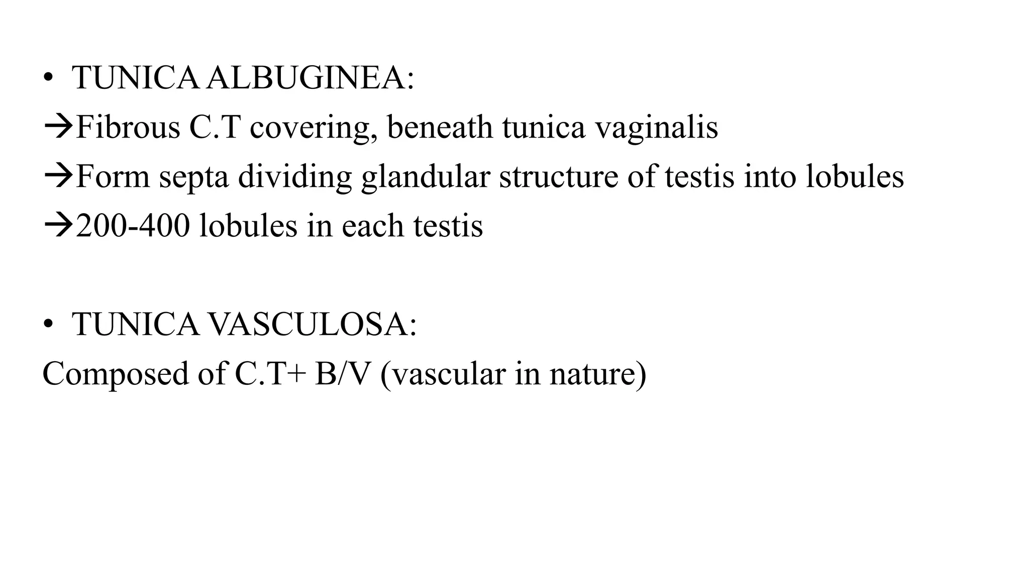 Male Reproductive system (without Audio).pptx