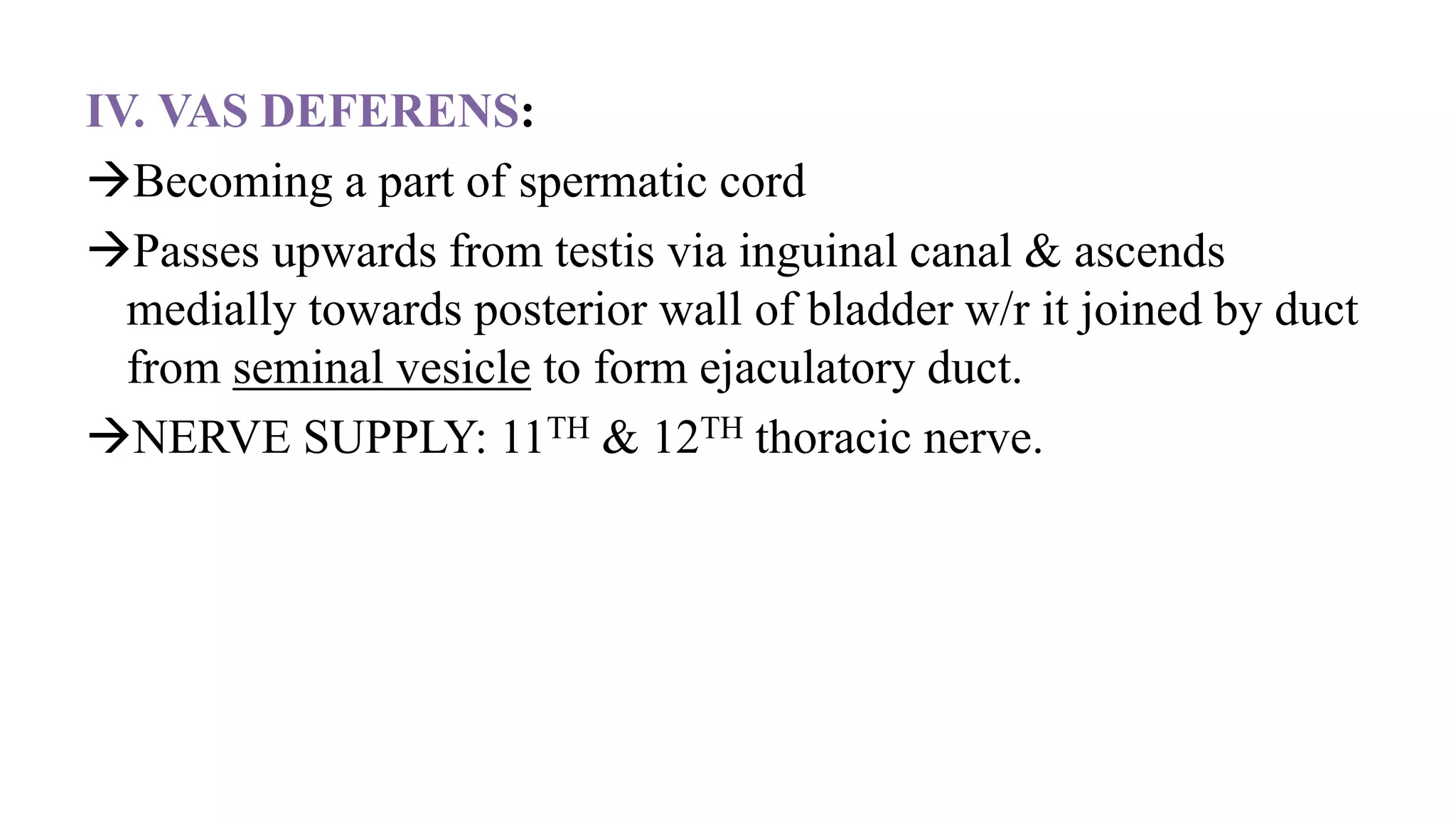 Male Reproductive system (without Audio).pptx