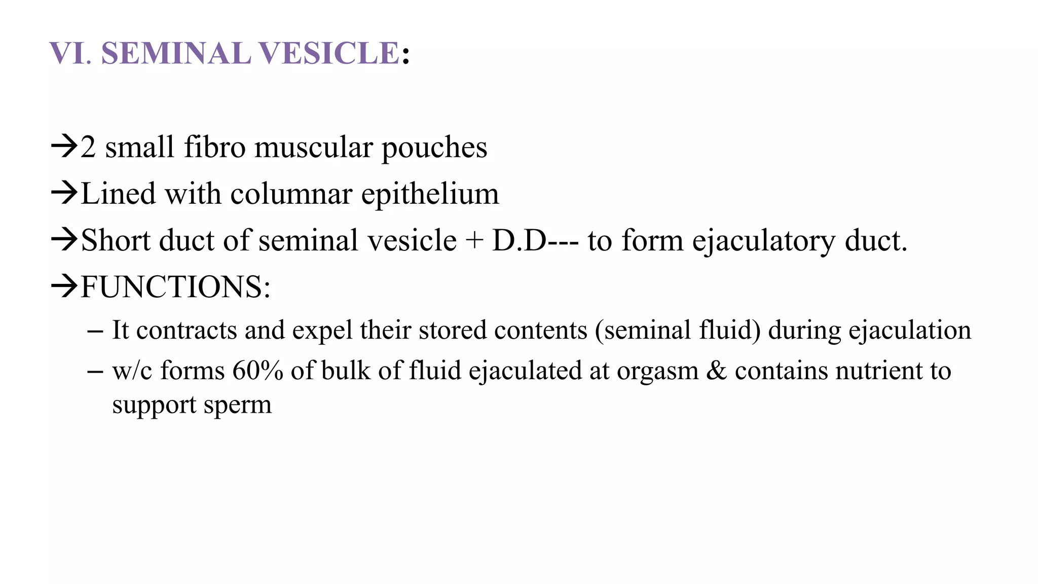 Male Reproductive system (without Audio).pptx