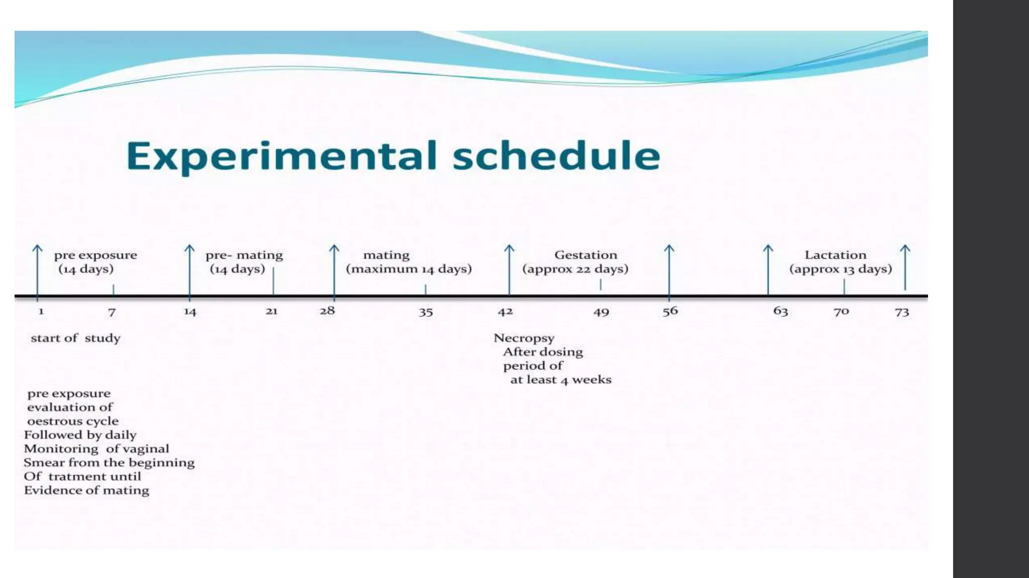 MALE REPRODUCTIVE TOXICITY STUDIES(Toxicokinetics).pptx