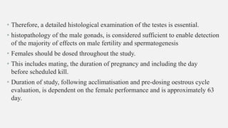 Male reproductive toxicity studies.pdffree | PDF