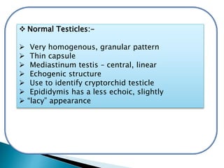 sonography of male and female genital system in Dog | PPTX