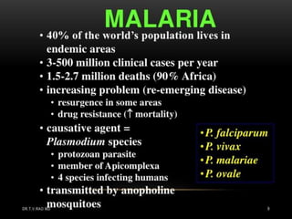 Malaria | PPTX