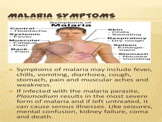 Malaria | PPT