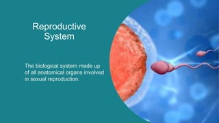 Male RS.pptx | Infertility | Reproductive Health