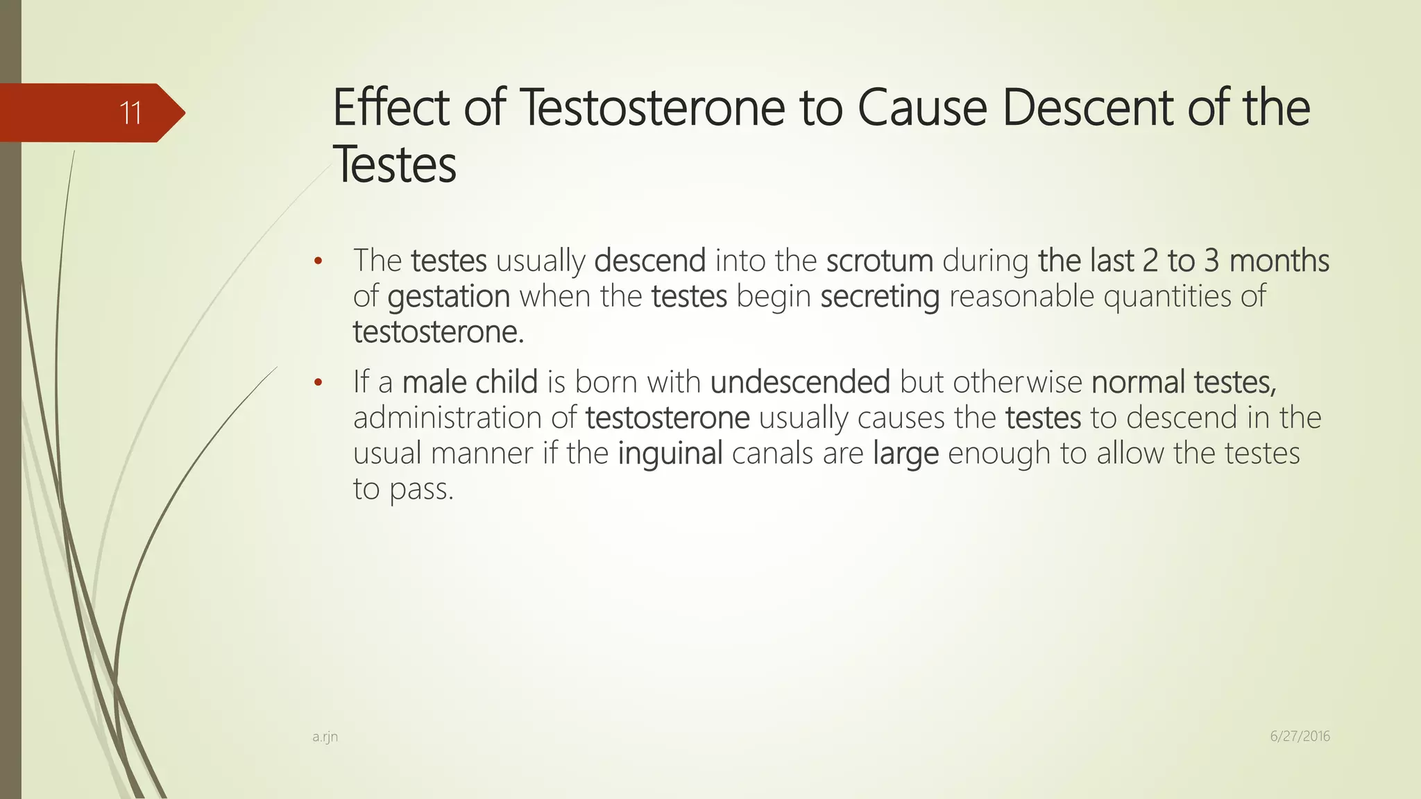 Male Sex Hormones Pptx Hormonal Disorders Endocrine And Metabolic