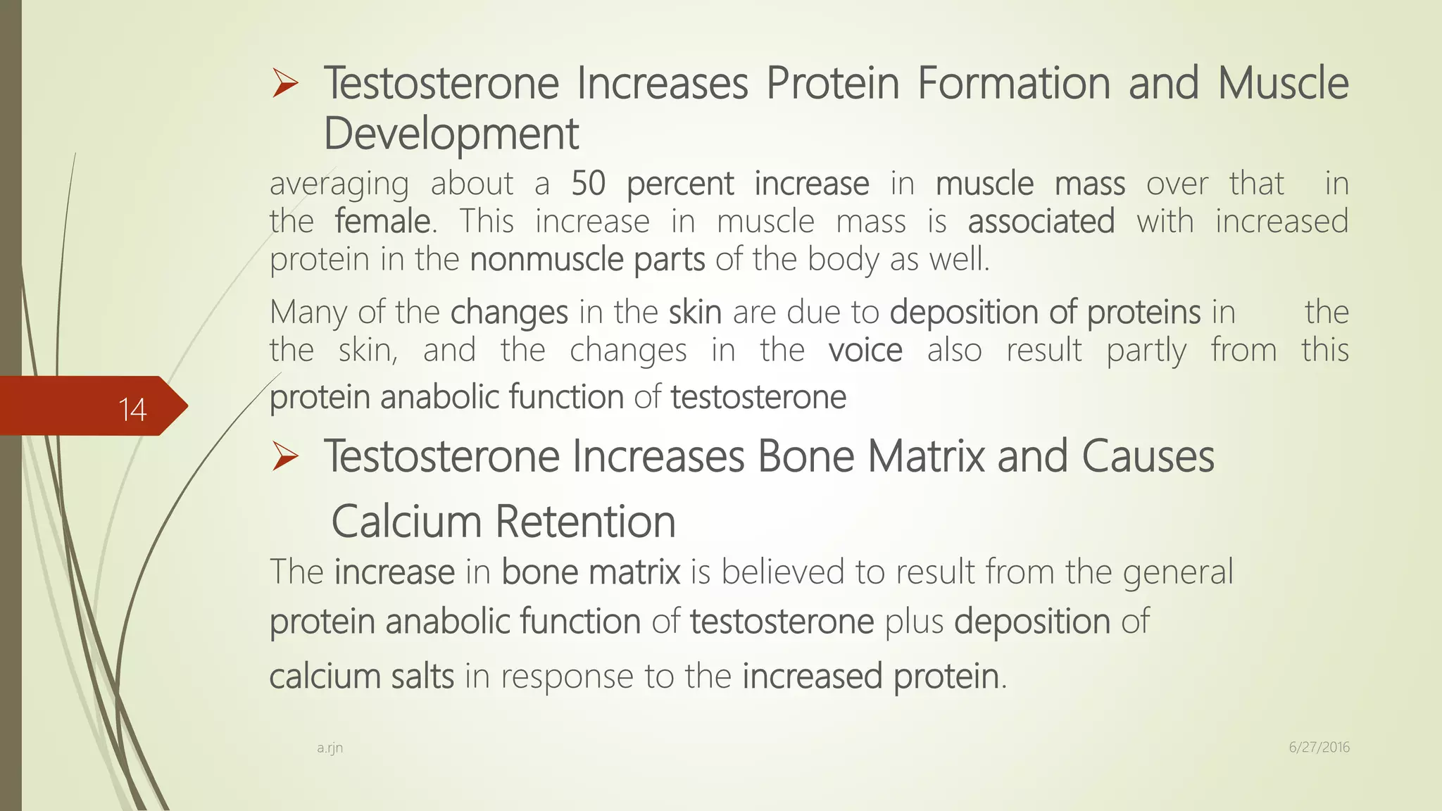 Male sex hormones | PPTX