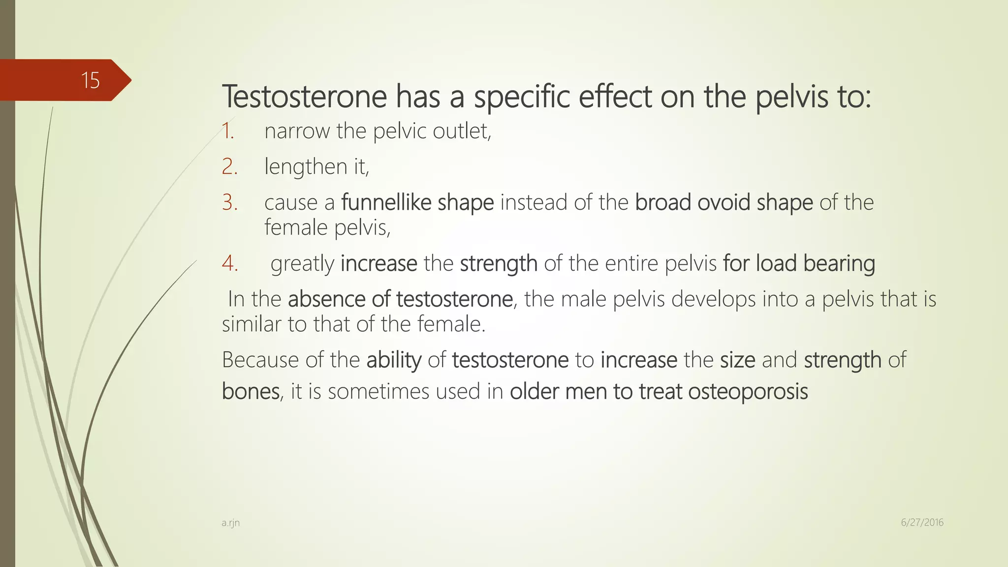 Male Sex Hormones Pptx