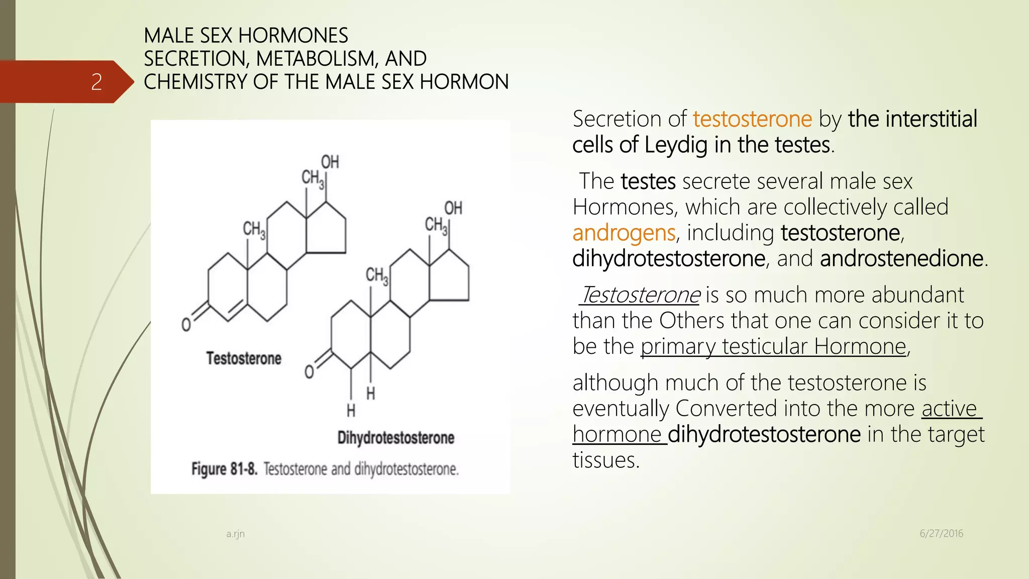 Male Sex Hormones Pptx