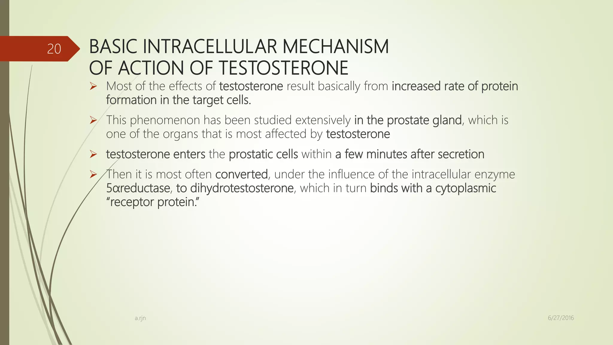 Male sex hormones | PPTX