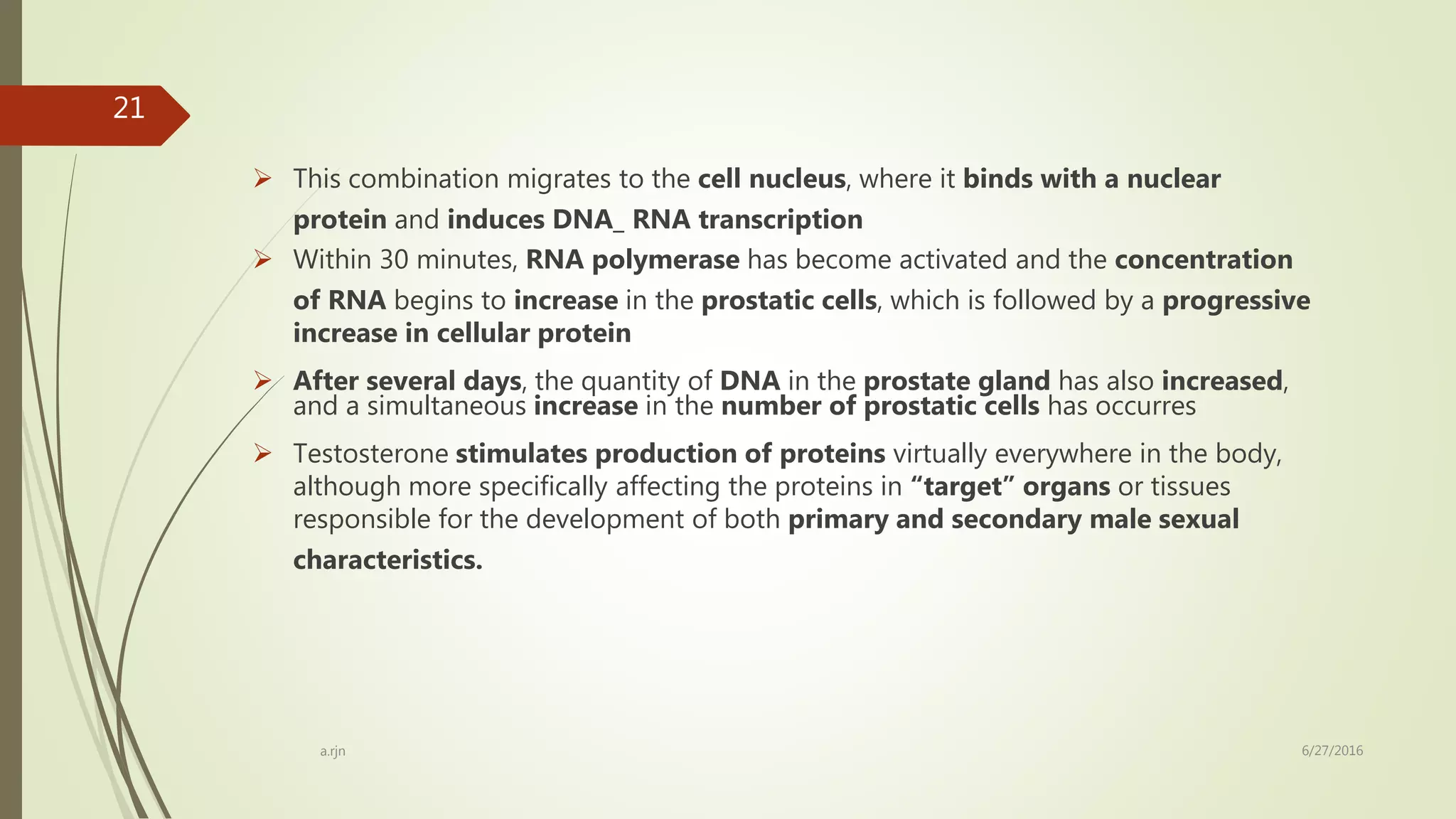 Male sex hormones | PPTX