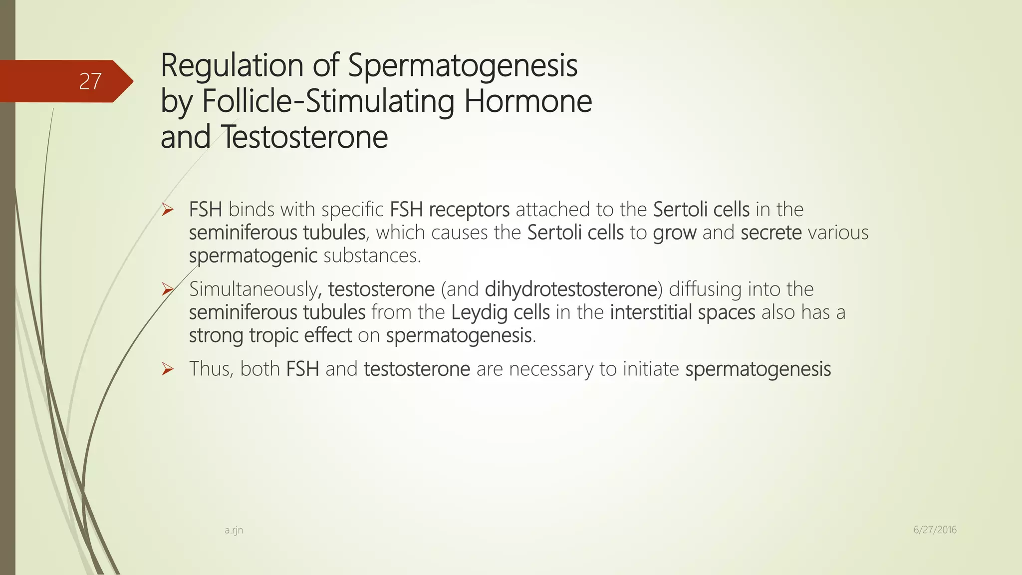Male sex hormones | PPTX