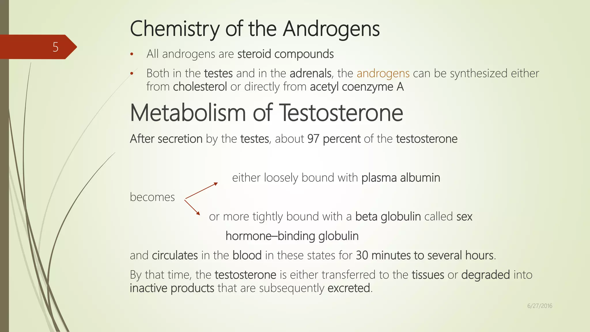 Male sex hormones | PPTX